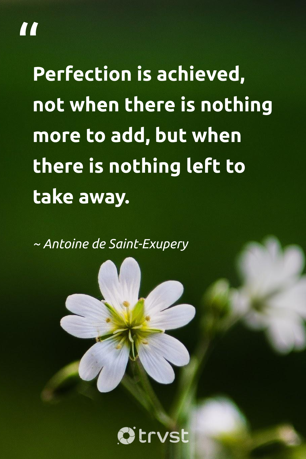 31 Perfection Quotes About Conscious Pursuit Of Excellence