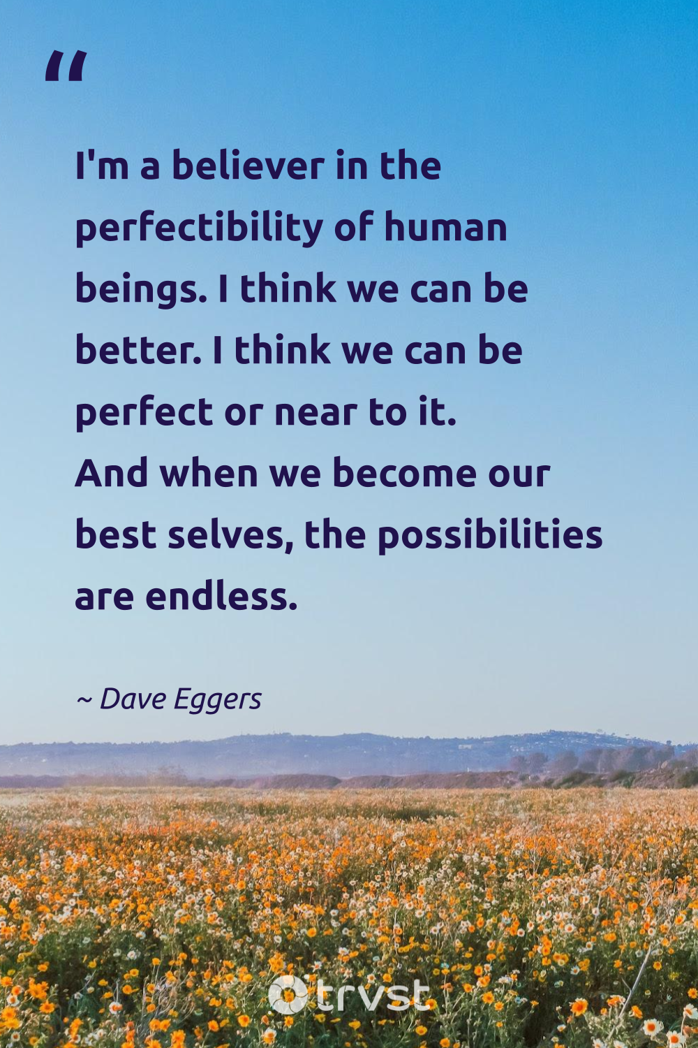 31 Perfection Quotes About Conscious Pursuit Of Excellence