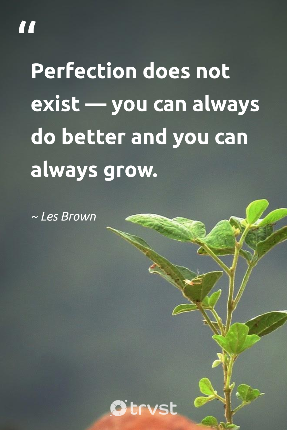 31 Perfection Quotes About Conscious Pursuit Of Excellence