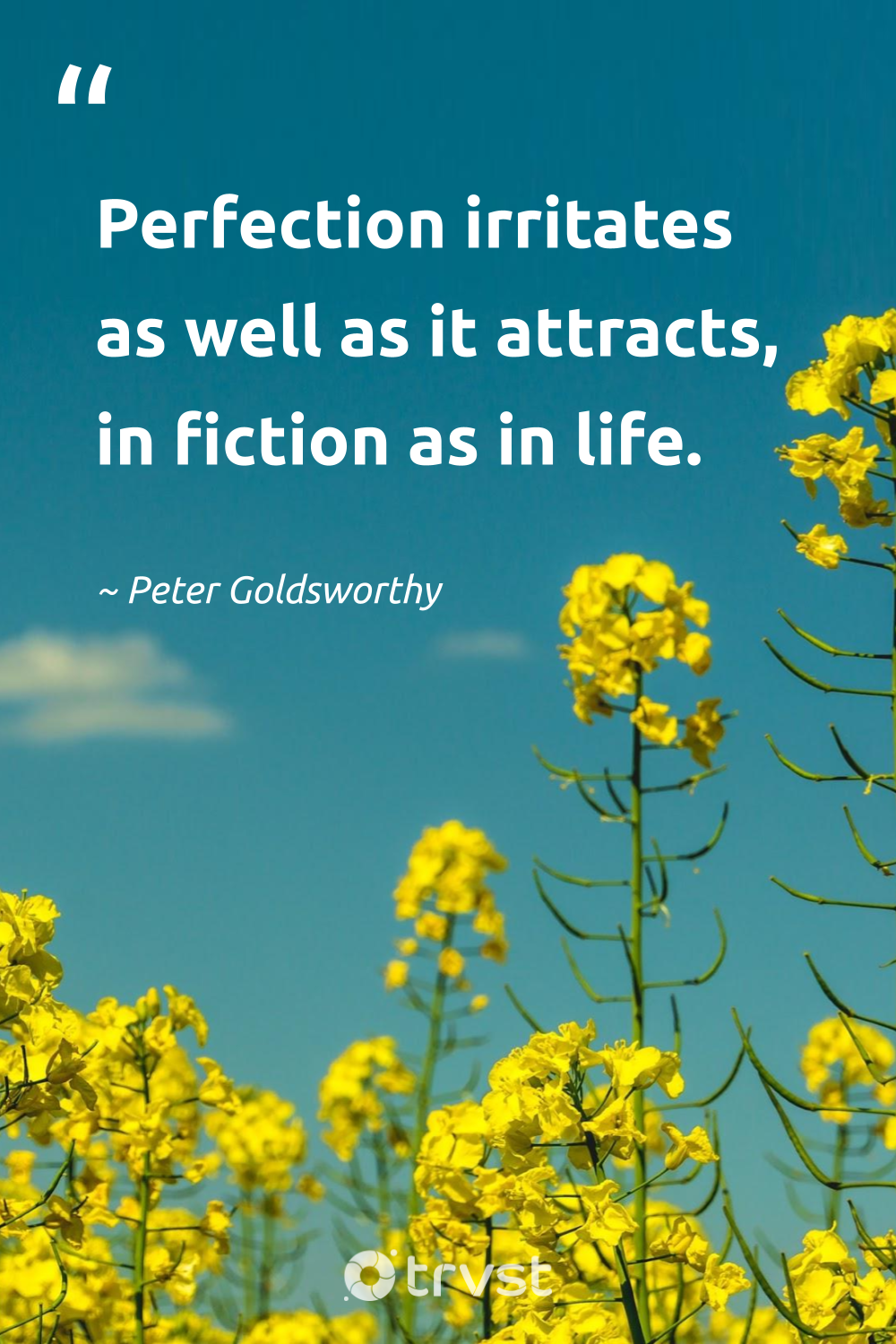 31 Perfection Quotes About Conscious Pursuit Of Excellence