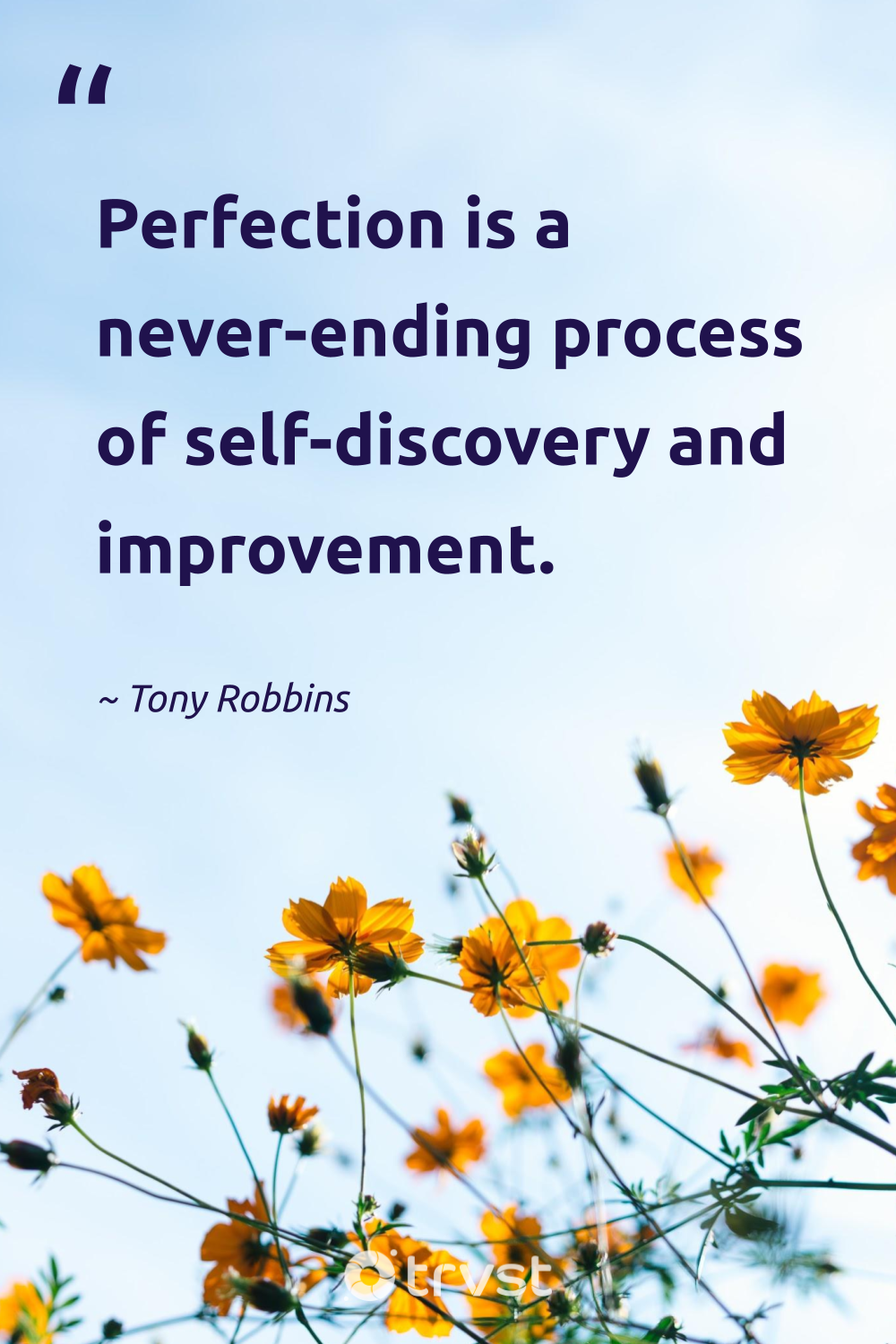 31 Perfection Quotes About Conscious Pursuit Of Excellence