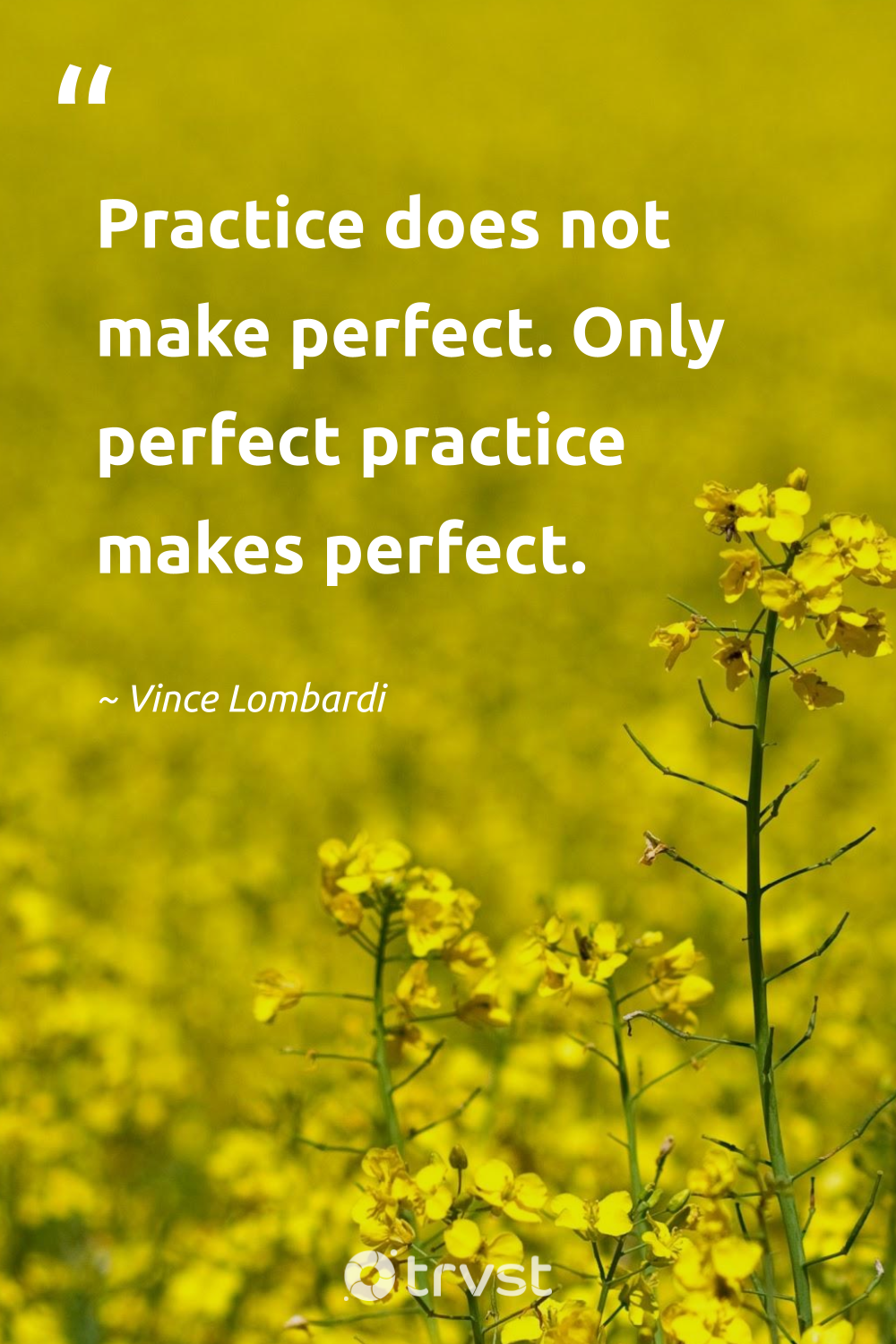 31 Perfection Quotes About Conscious Pursuit Of Excellence