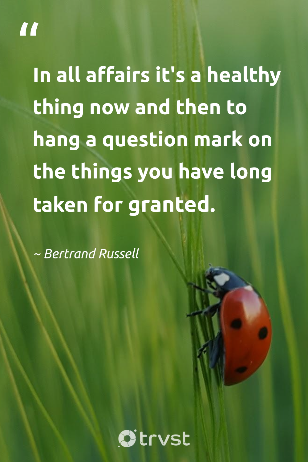 57 Perspective Quotes To Expand Your Worldview