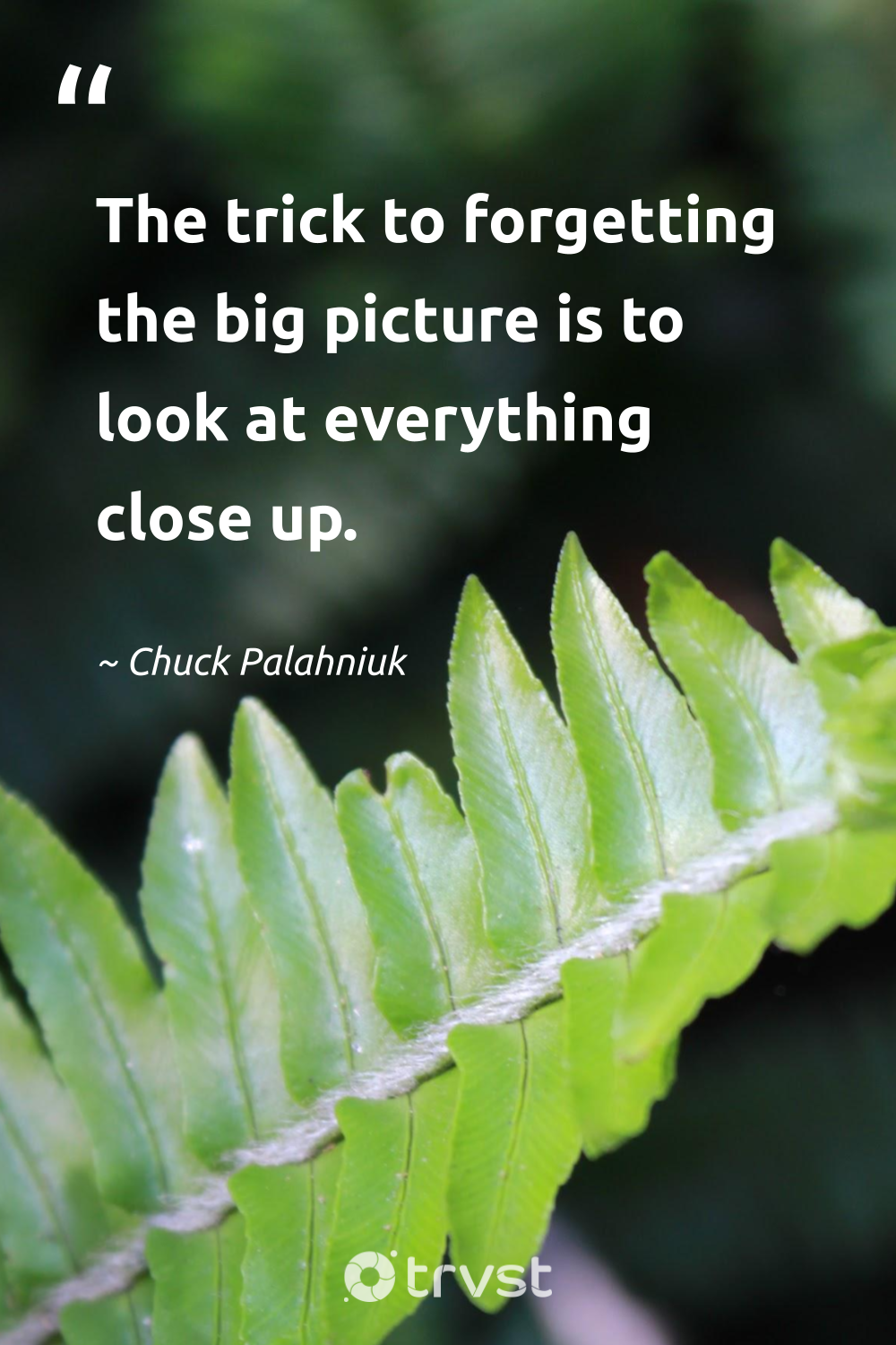 57 Perspective Quotes To Expand Your Worldview