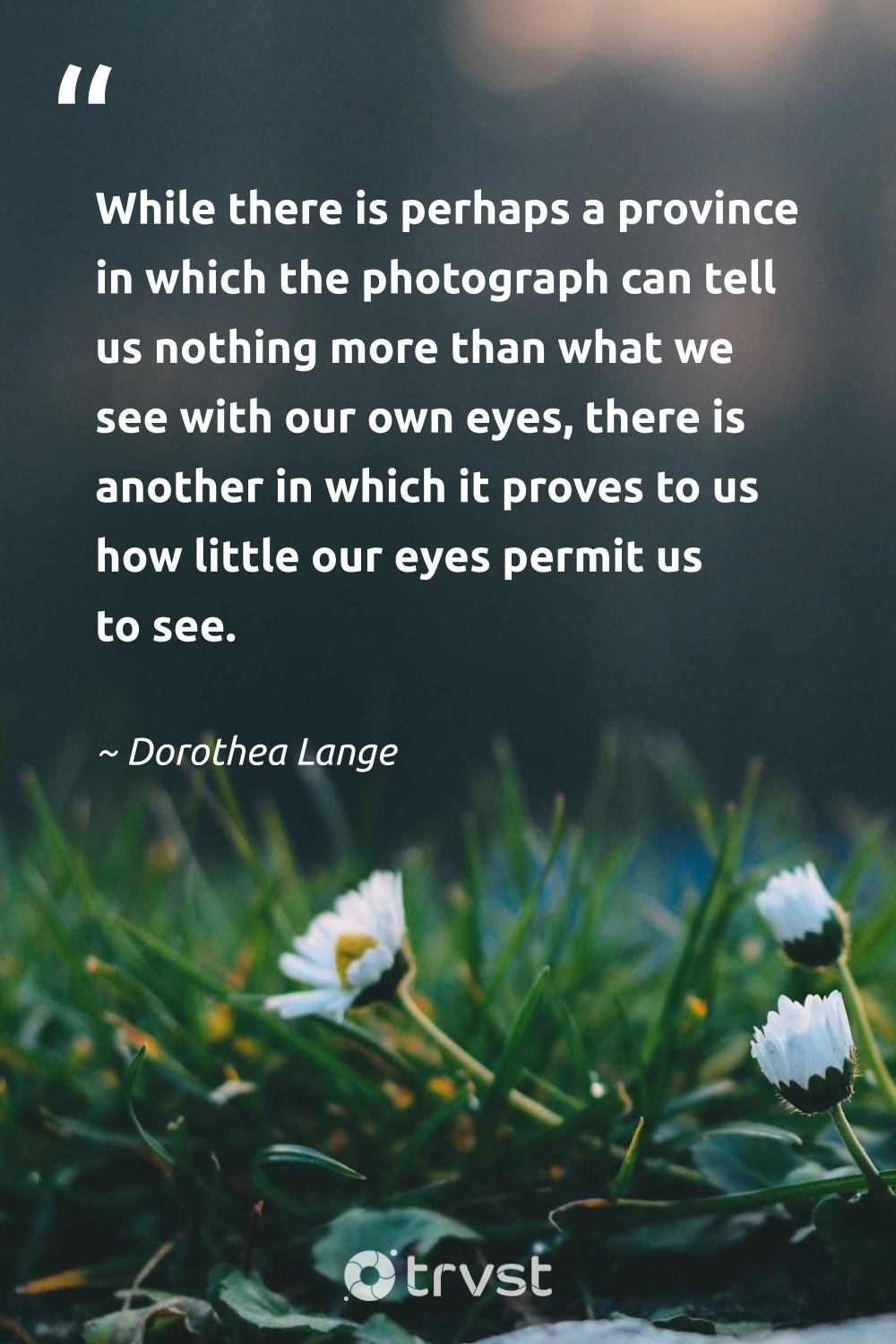 57 Perspective Quotes To Expand Your Worldview