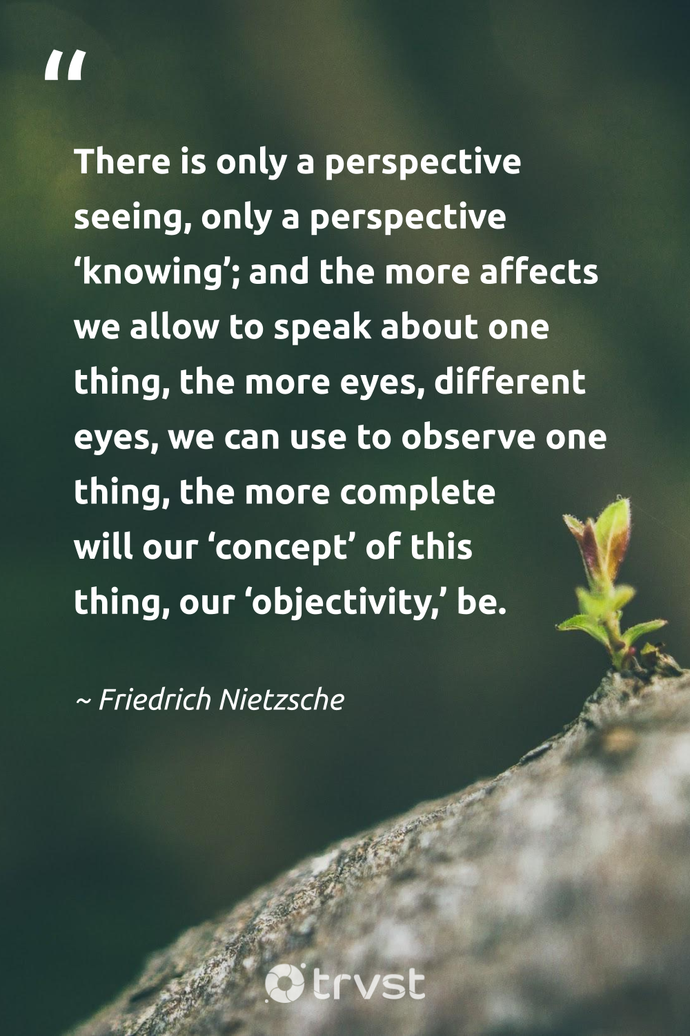 57 Perspective Quotes To Expand Your Worldview