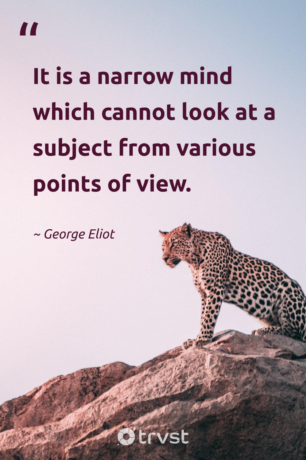 57 Perspective Quotes To Expand Your Worldview