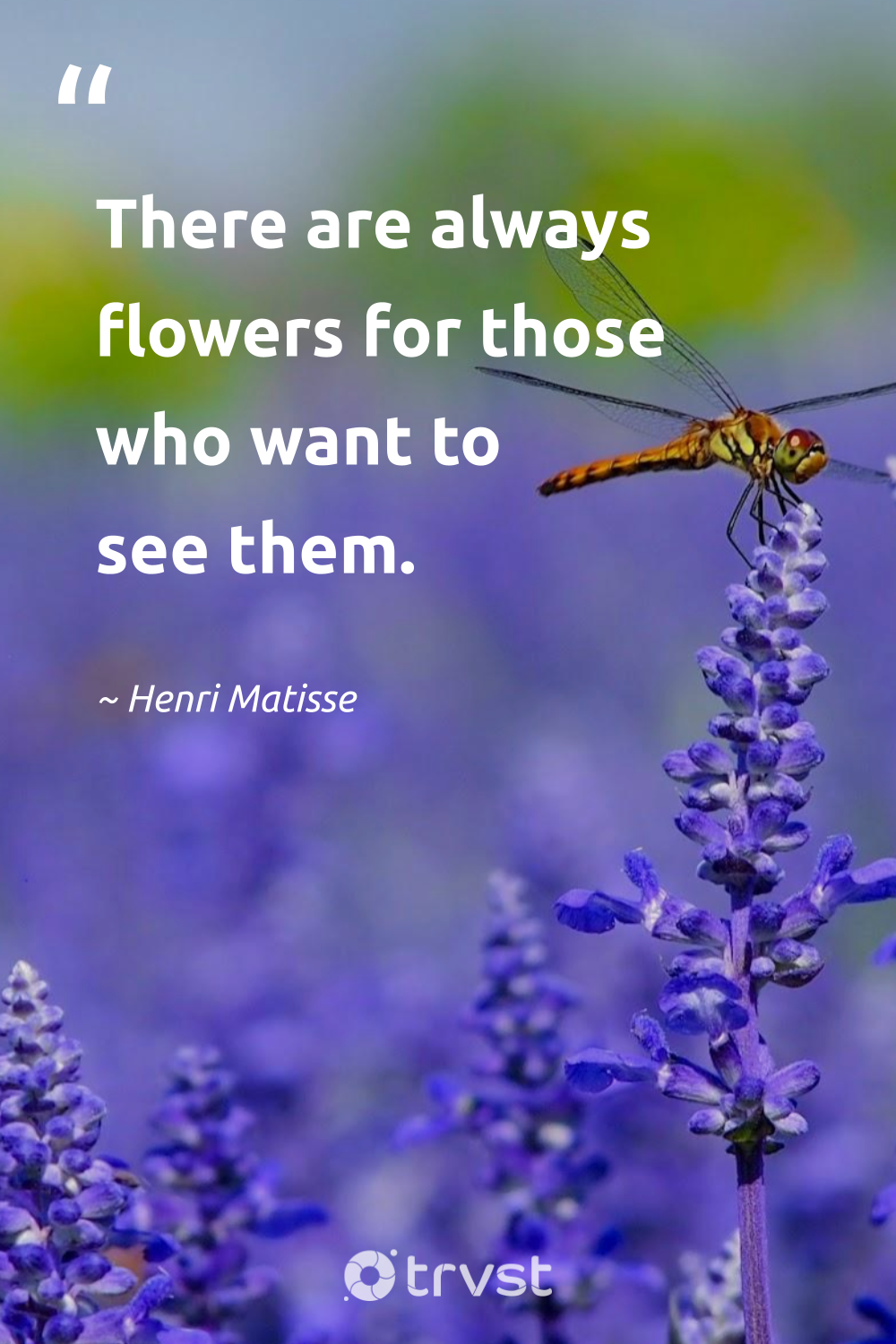 57 Perspective Quotes To Expand Your Worldview