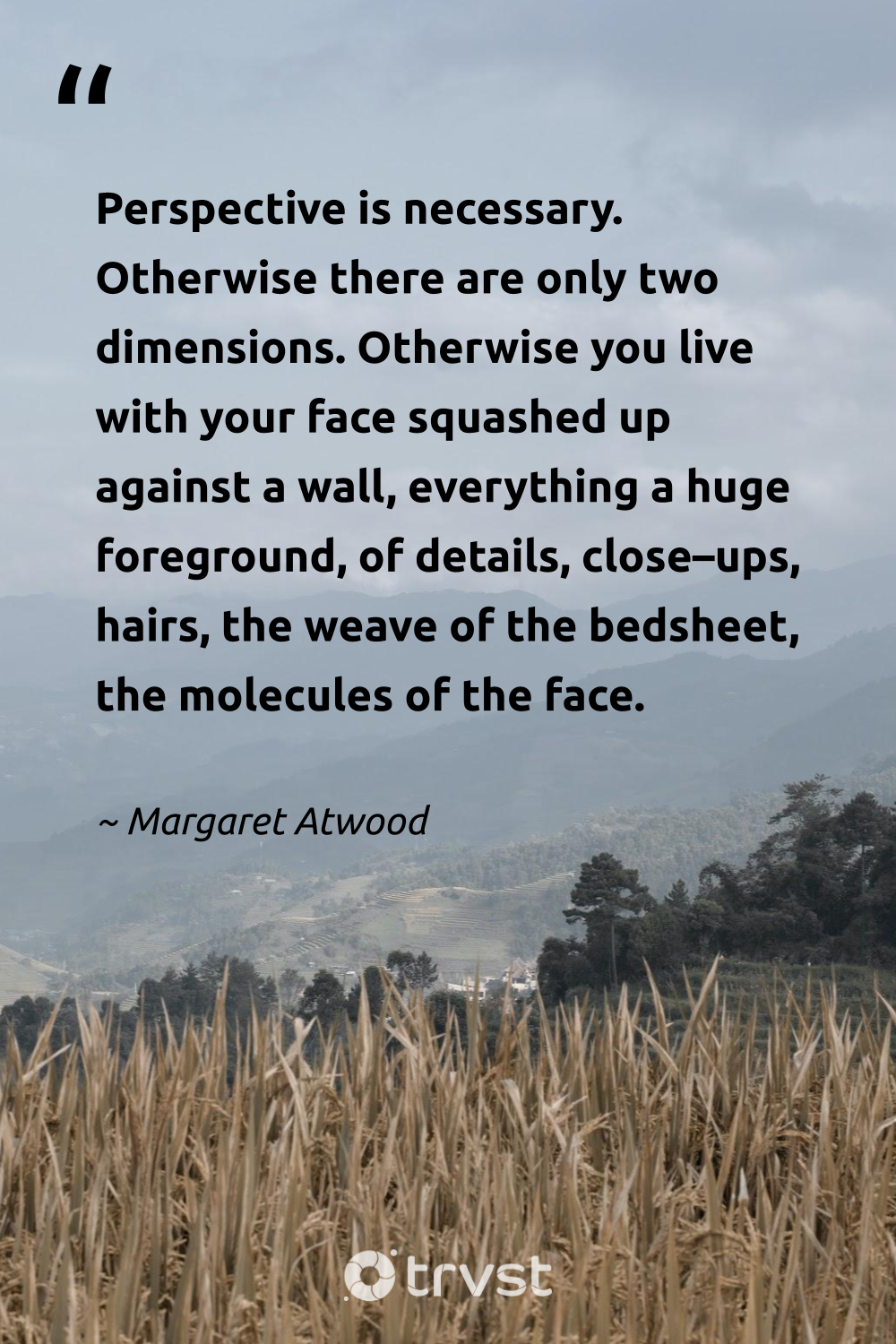 57 Perspective Quotes To Expand Your Worldview