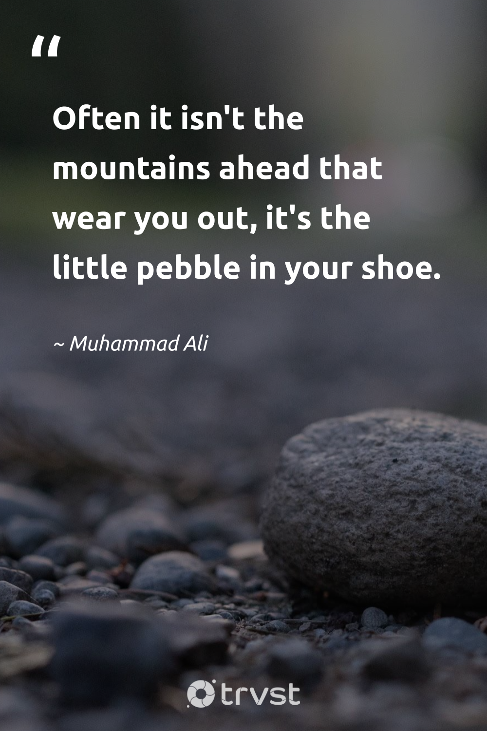 57 Perspective Quotes To Expand Your Worldview