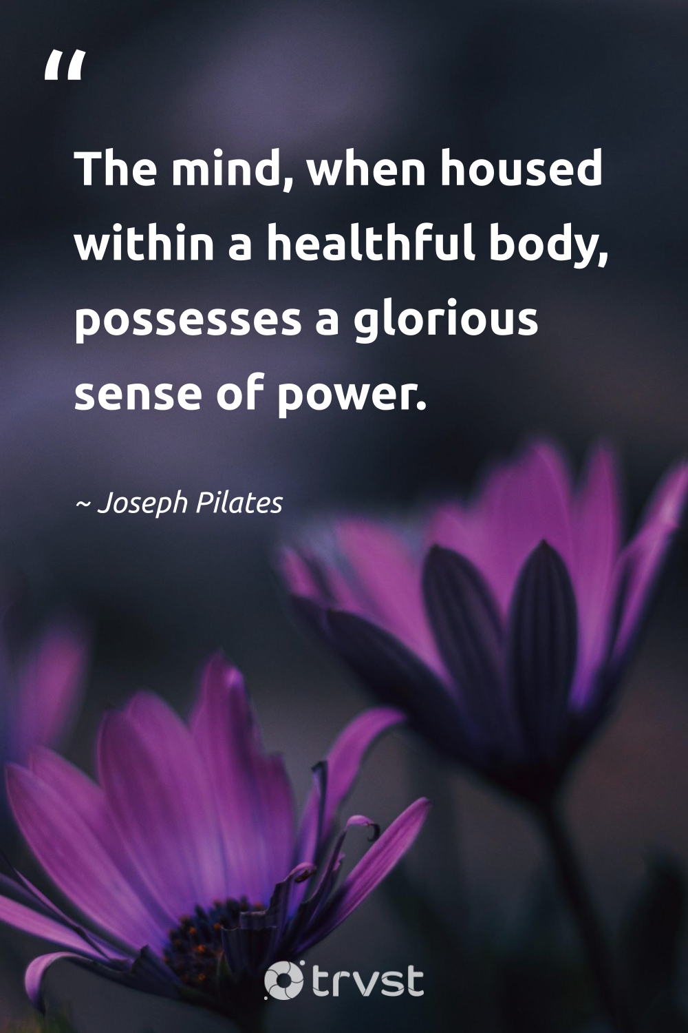 25 Joseph Pilates Quotes To Encourage Mind-Body Connection