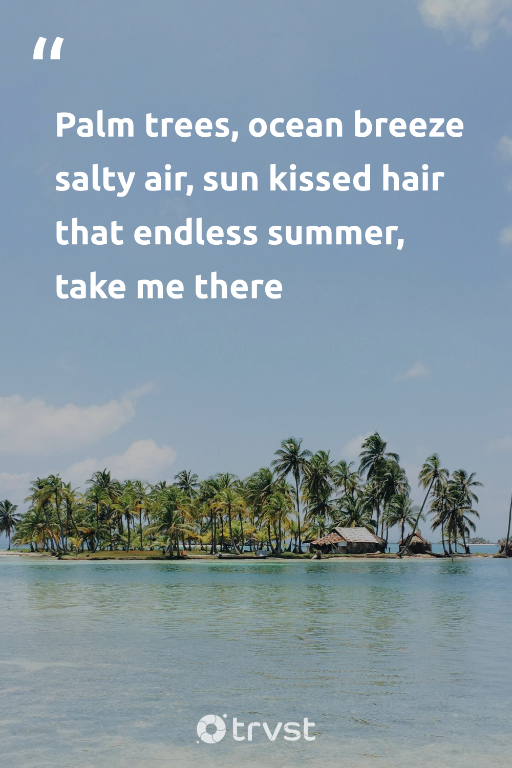 46 Palm Tree Quotes to Inspire Chilled Moments and Beach Time