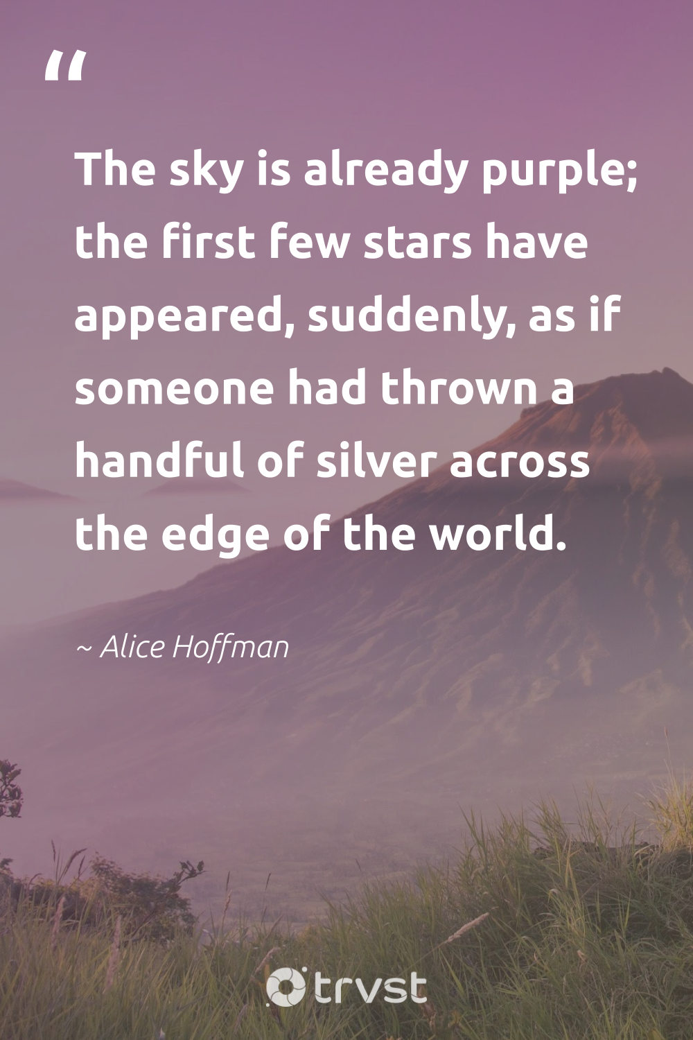 57 Purple Quotes for Life, Fashion, and Motivation (2024)