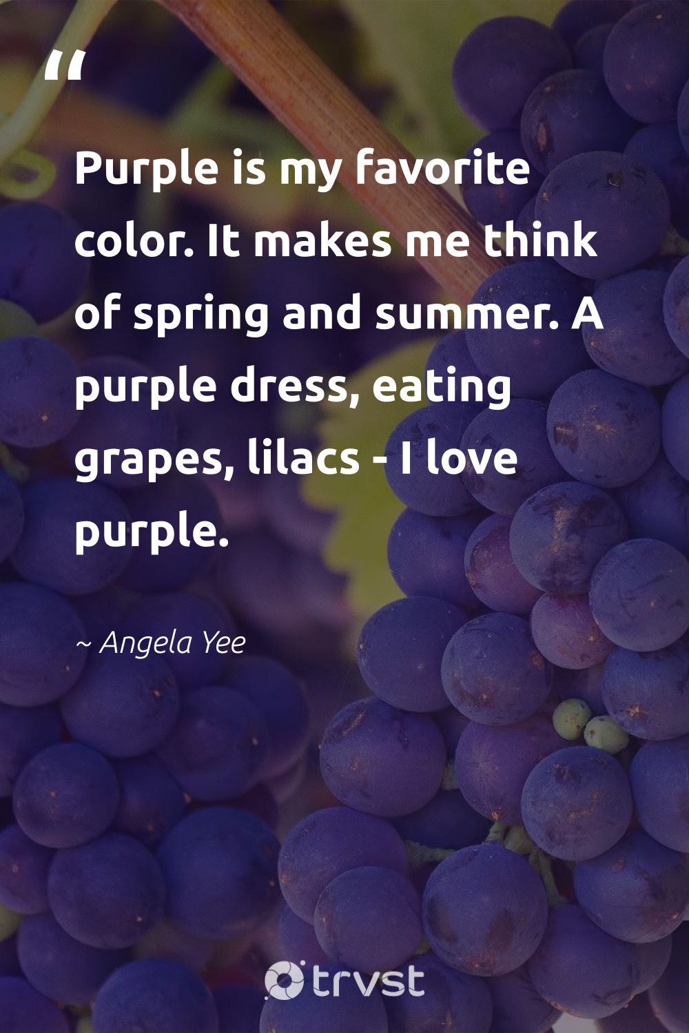 57 Purple Quotes for Life, Fashion, and Motivation (2025)