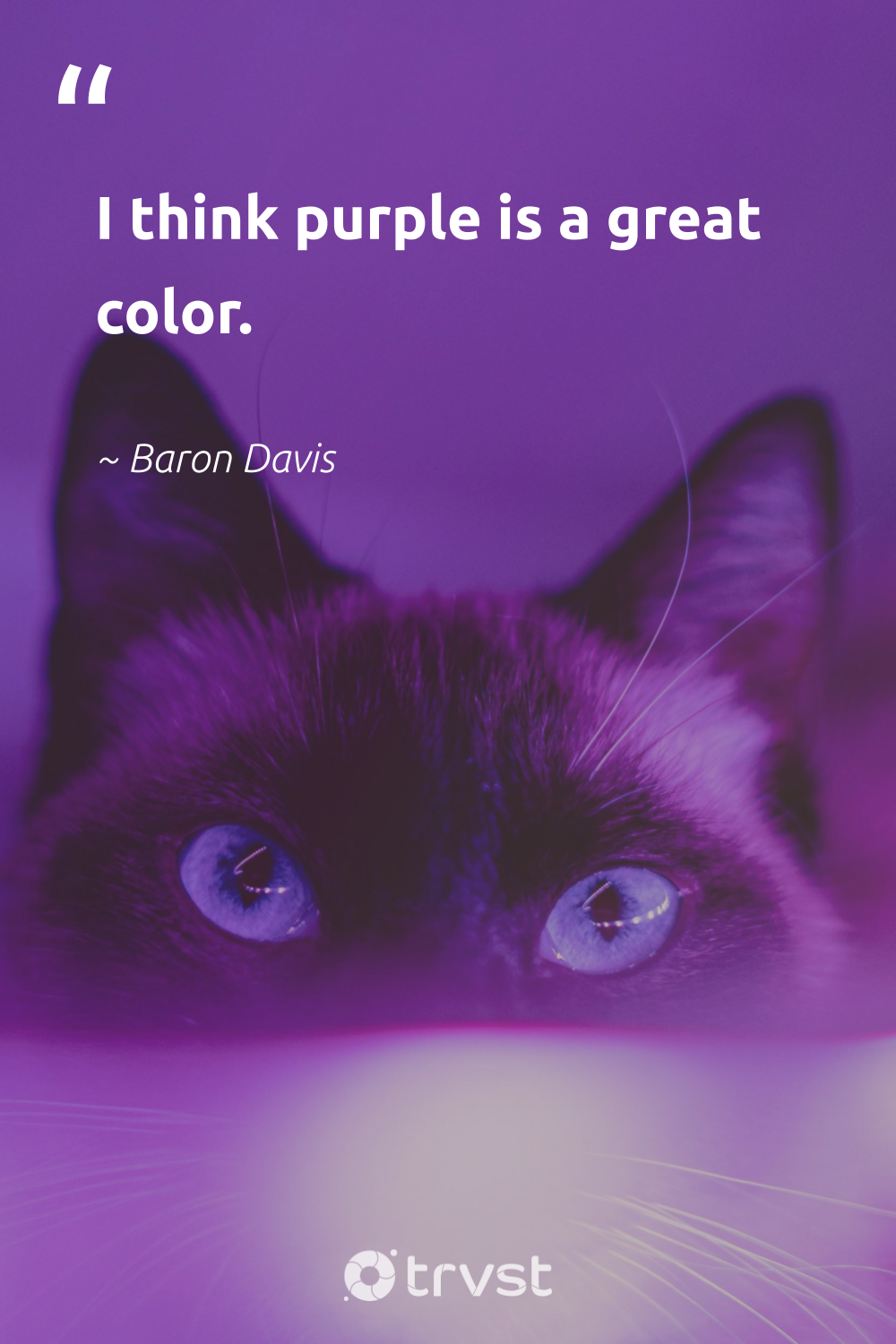 57 Purple Quotes for Life, Fashion, and Motivation (2025)