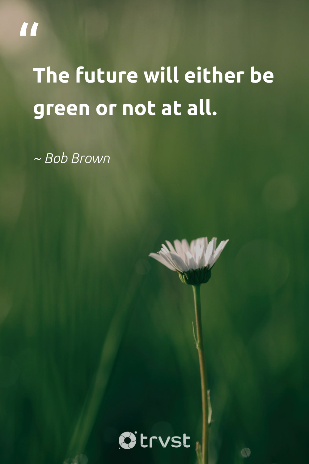 77 Green Quotes Inspiring Renewal & Conservation (2025)