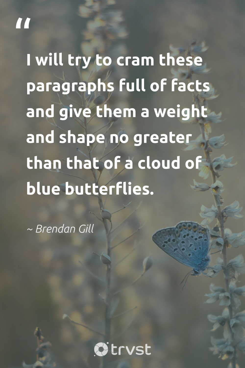 70 Blue Quotes Inspiring Tranquility and Reflections in Life (2025)