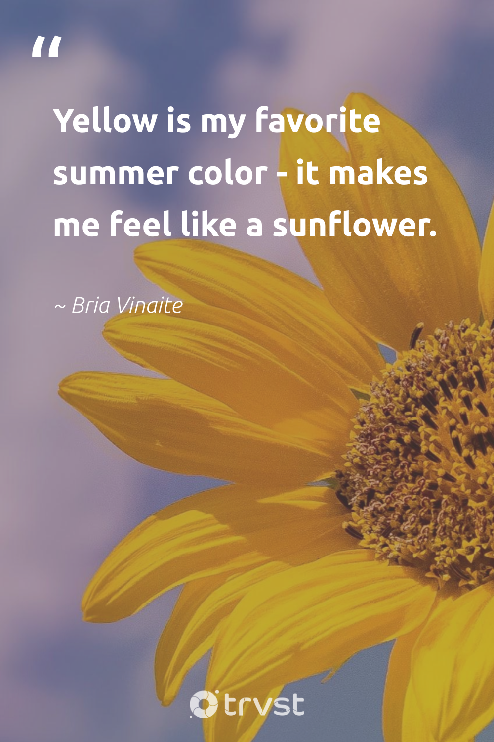 50 Yellow Quotes For Brighter Days and Sunny Inspiration (2025)