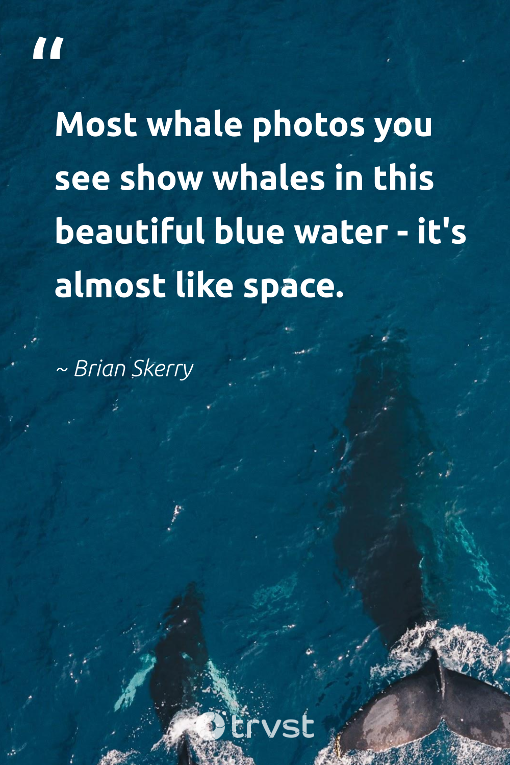 70 Blue Quotes Inspiring Tranquility and Reflections in Life (2025)