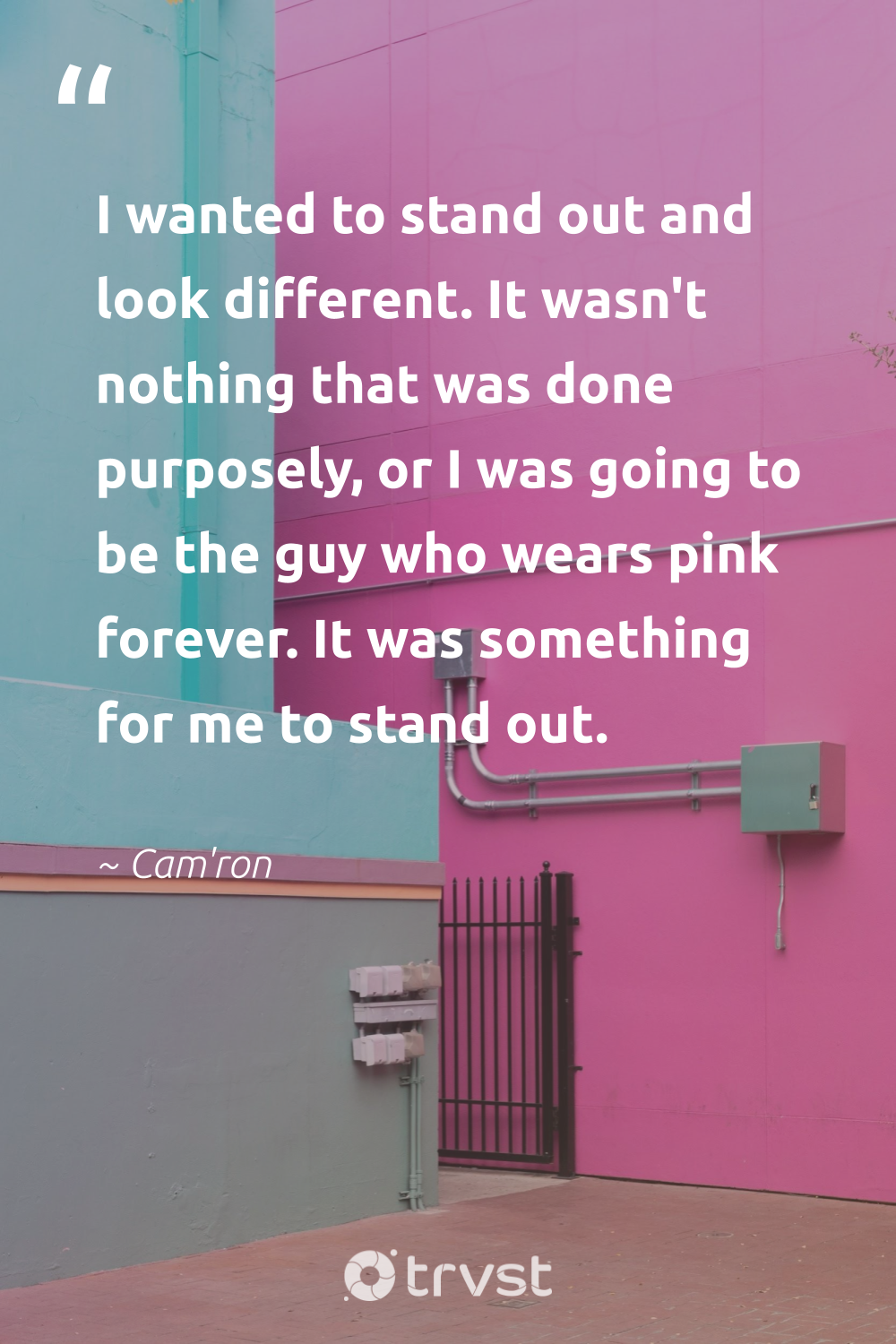 64 Pink Quotes for Appreciation and Empowerment (2024)