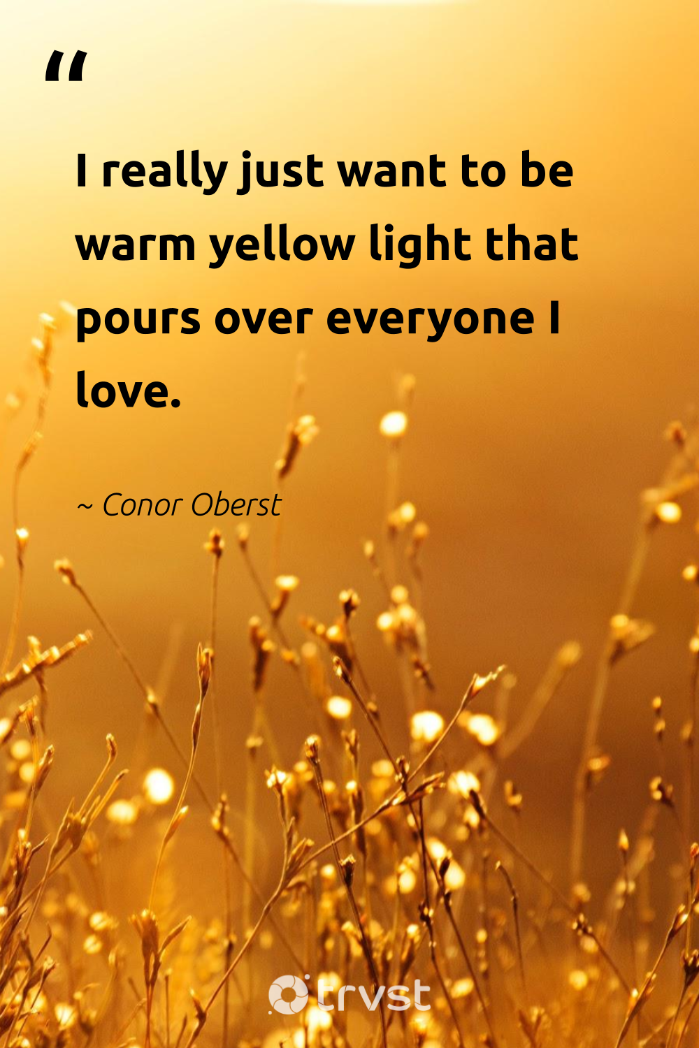 50 Yellow Quotes For Brighter Days and Sunny Inspiration (2025)