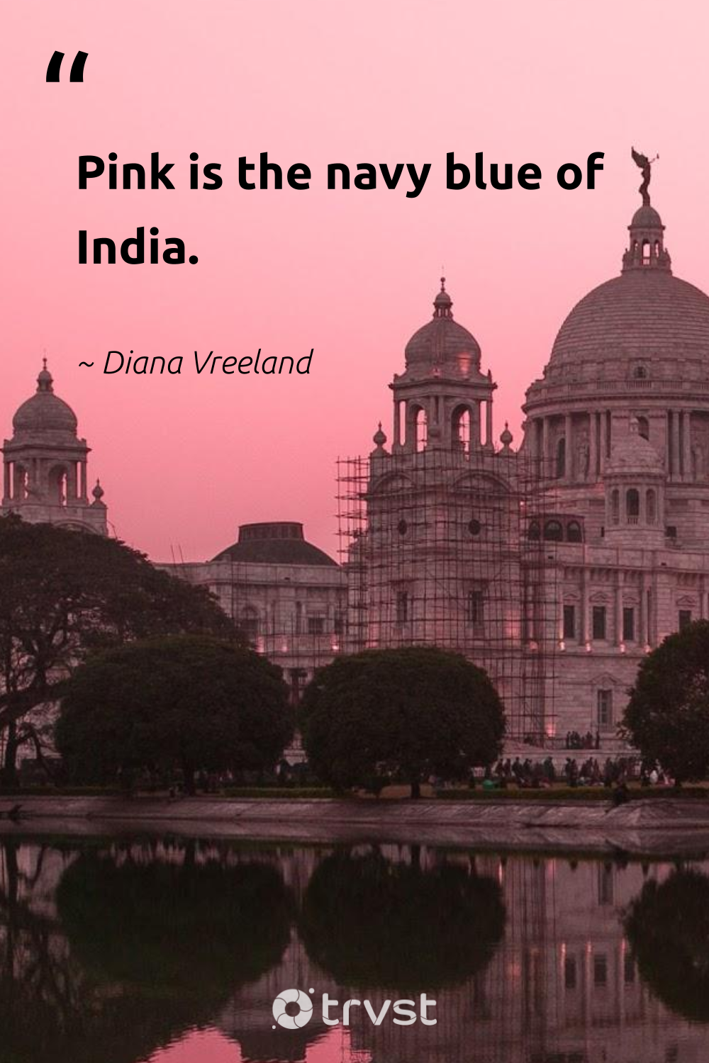 64 Pink Quotes for Appreciation and Empowerment (2025)