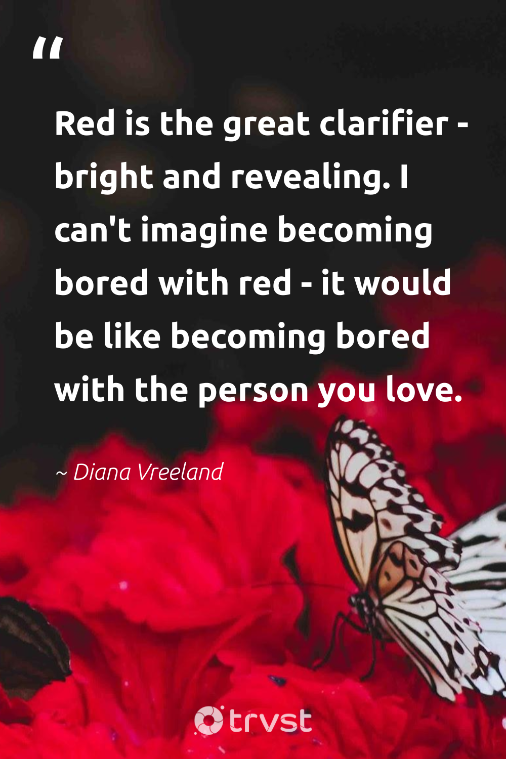 76 Red Quotes Inspiring the Passionate Side of Life (2025)