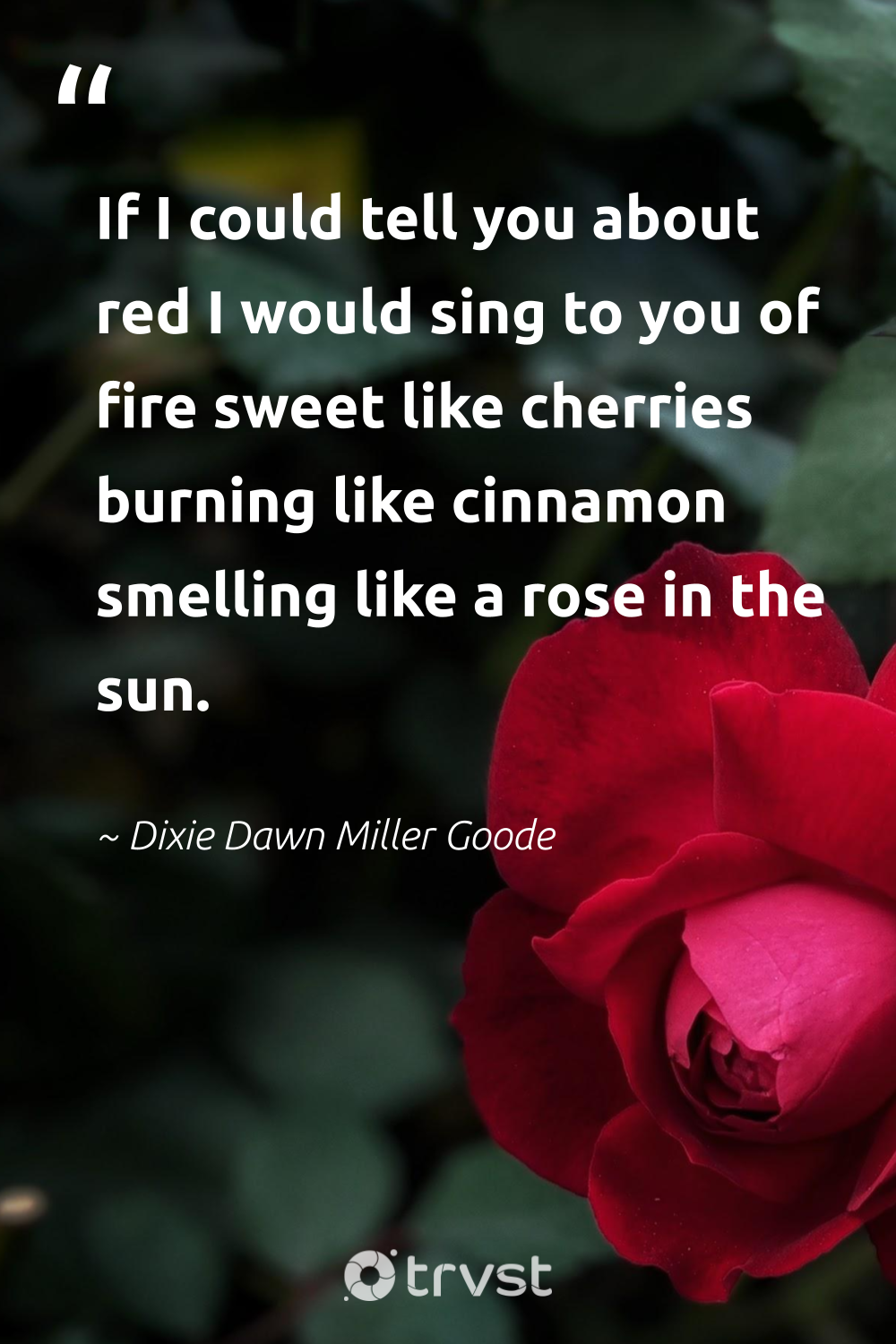 76 Red Quotes Inspiring the Passionate Side of Life (2024)