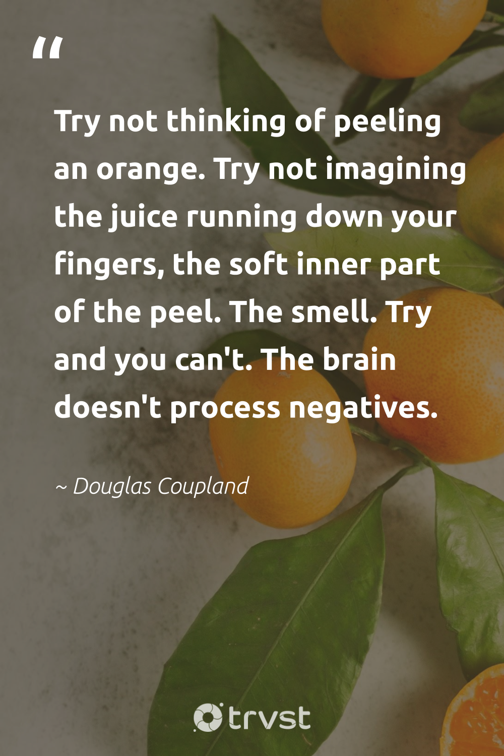 57 Orange Quotes to Inspire a Positive Outlook (2025)
