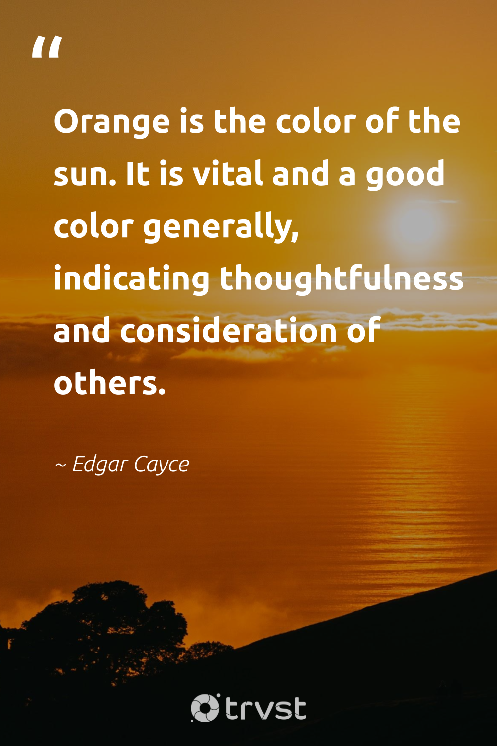 57 Orange Quotes to Inspire a Positive Outlook (2025)