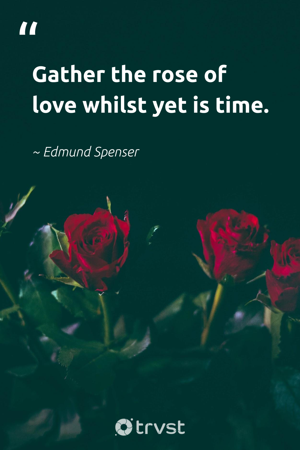 78 Rose Quotes About Natural Beauty, Love and Thorns