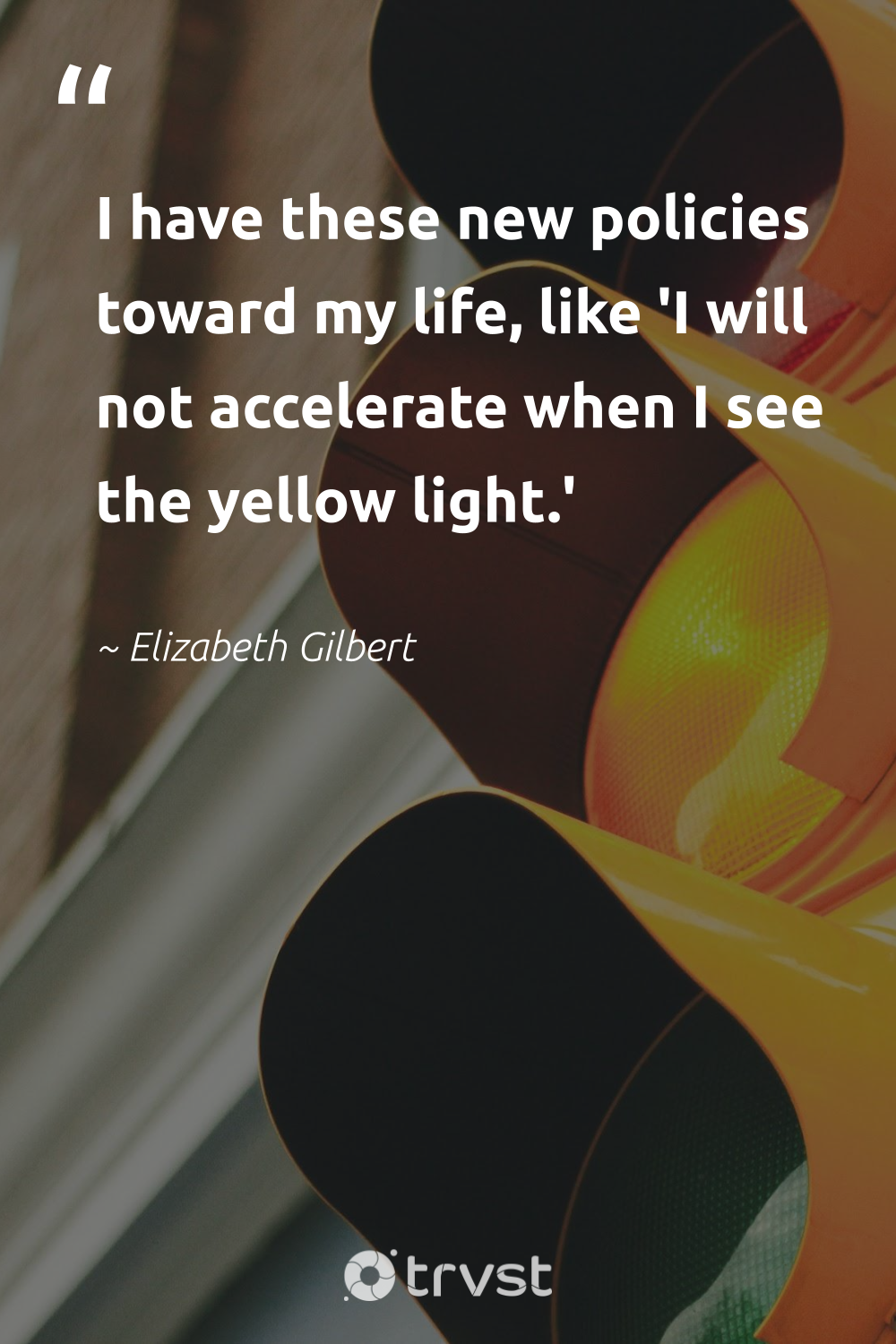 50 Yellow Quotes For Brighter Days and Sunny Inspiration (2025)