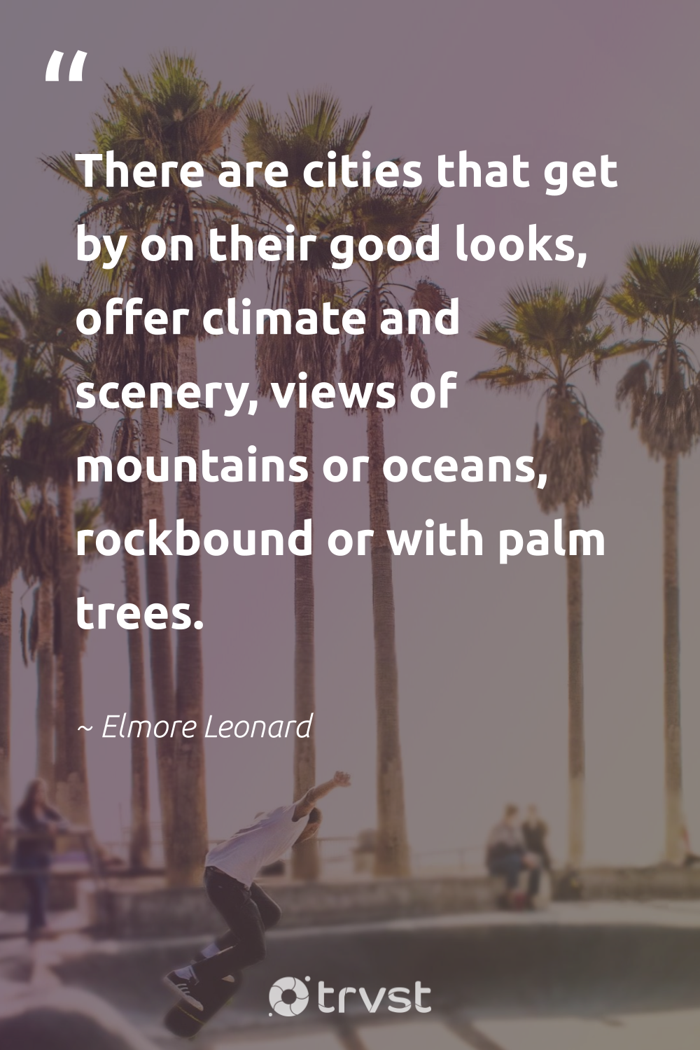 46 Palm Tree Quotes to Inspire Chilled Moments and Beach Time