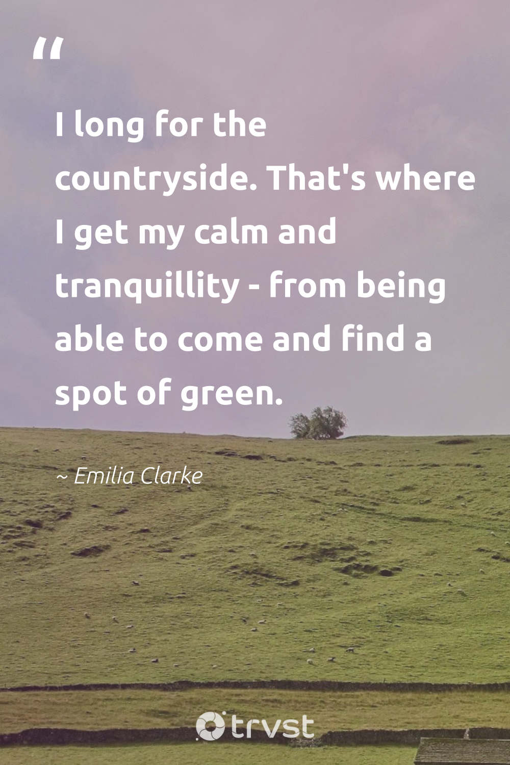 77 Green Quotes Inspiring Renewal & Conservation (2024)