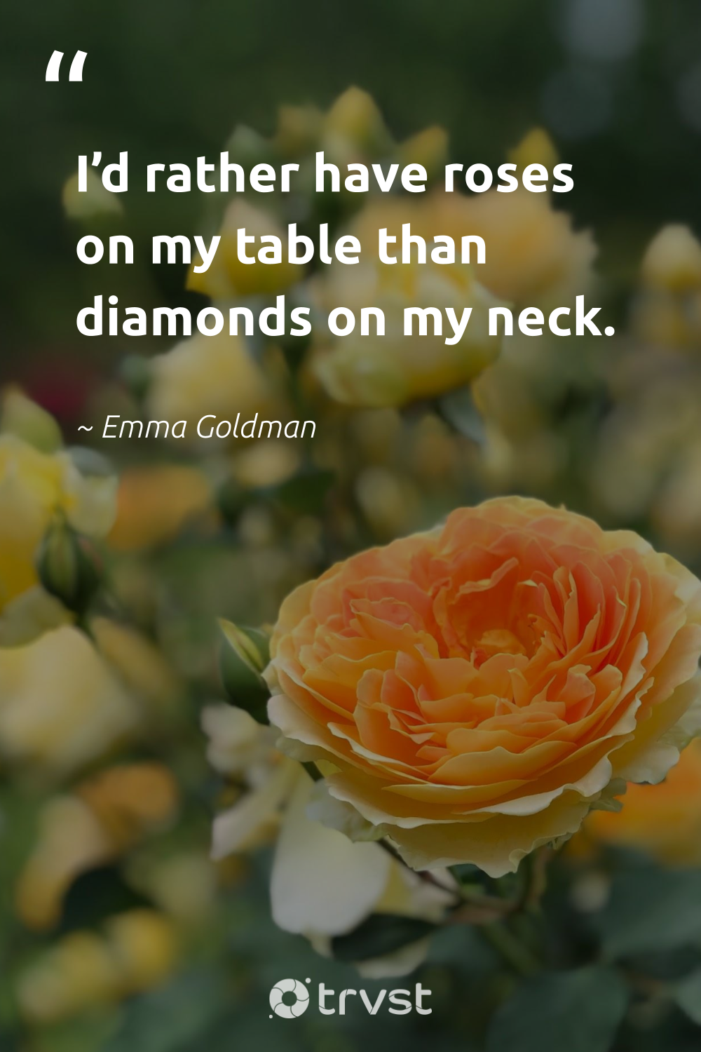 78 Rose Quotes About Natural Beauty, Love and Thorns