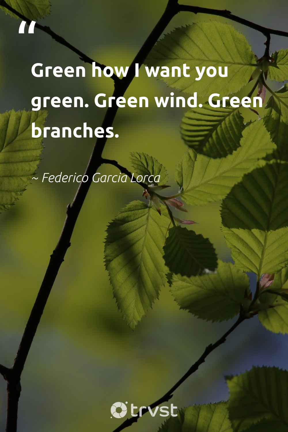 77 Green Quotes Inspiring Renewal & Conservation (2024)