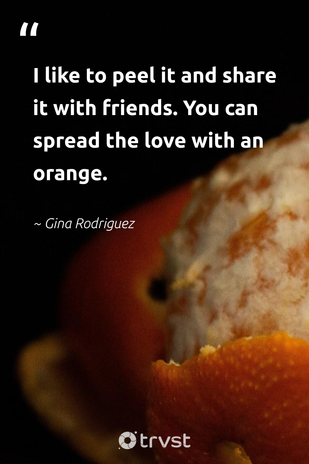 57 Orange Quotes to Inspire a Positive Outlook (2025)