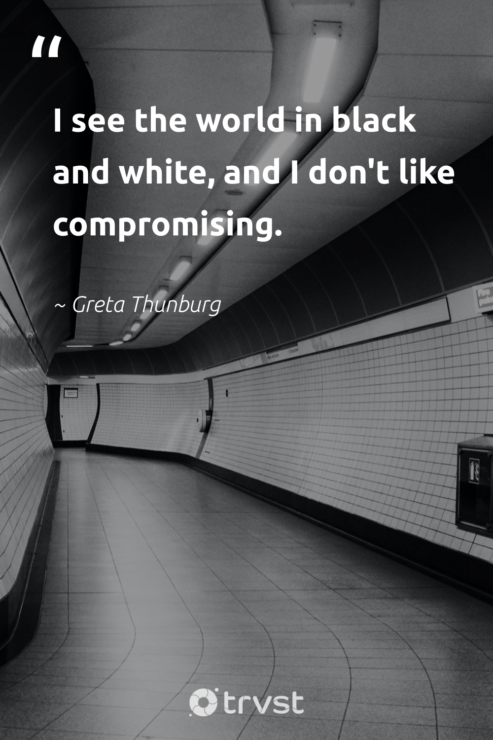 70 Black And White Quotes For Contrast Appreciation (2025)