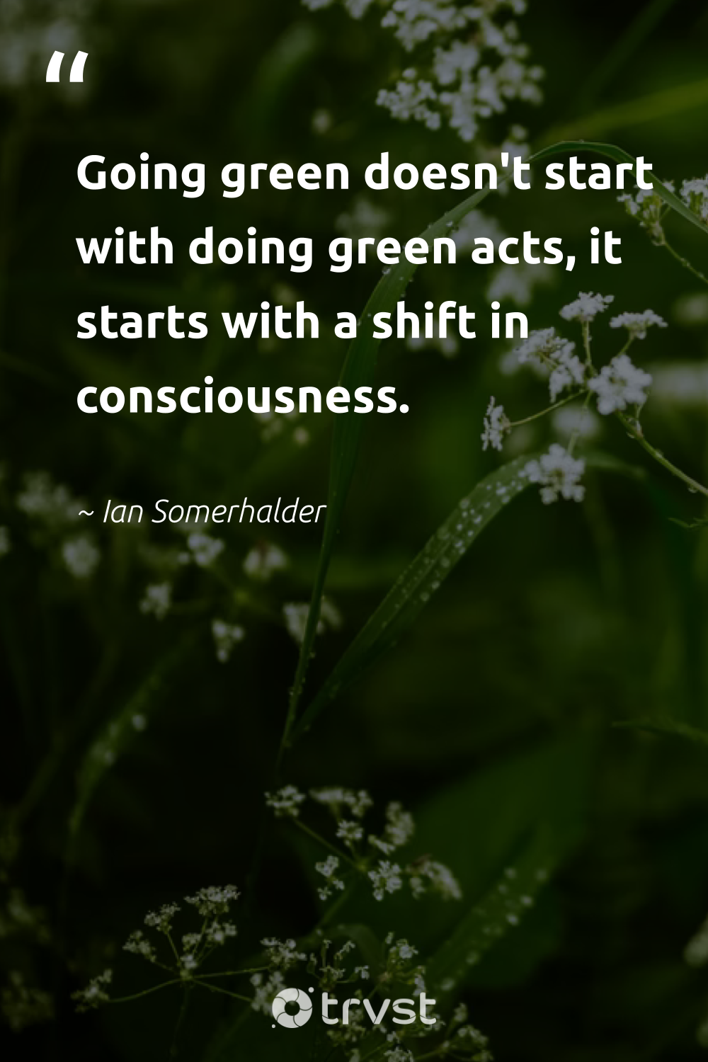 77 Green Quotes Inspiring Renewal & Conservation (2024)