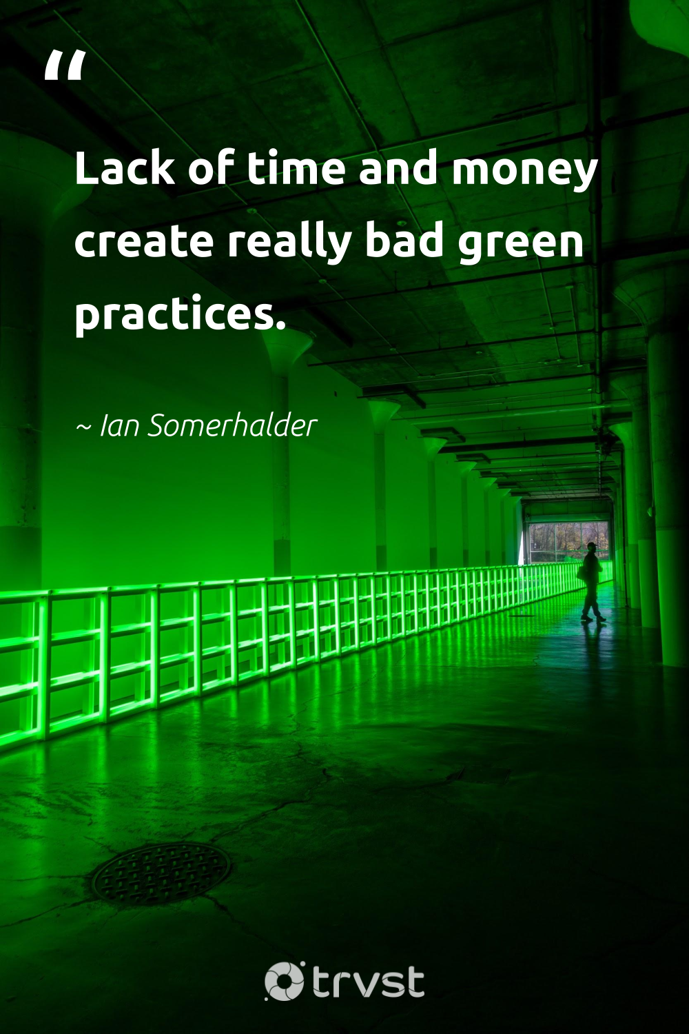 77 Green Quotes Inspiring Renewal & Conservation (2024)