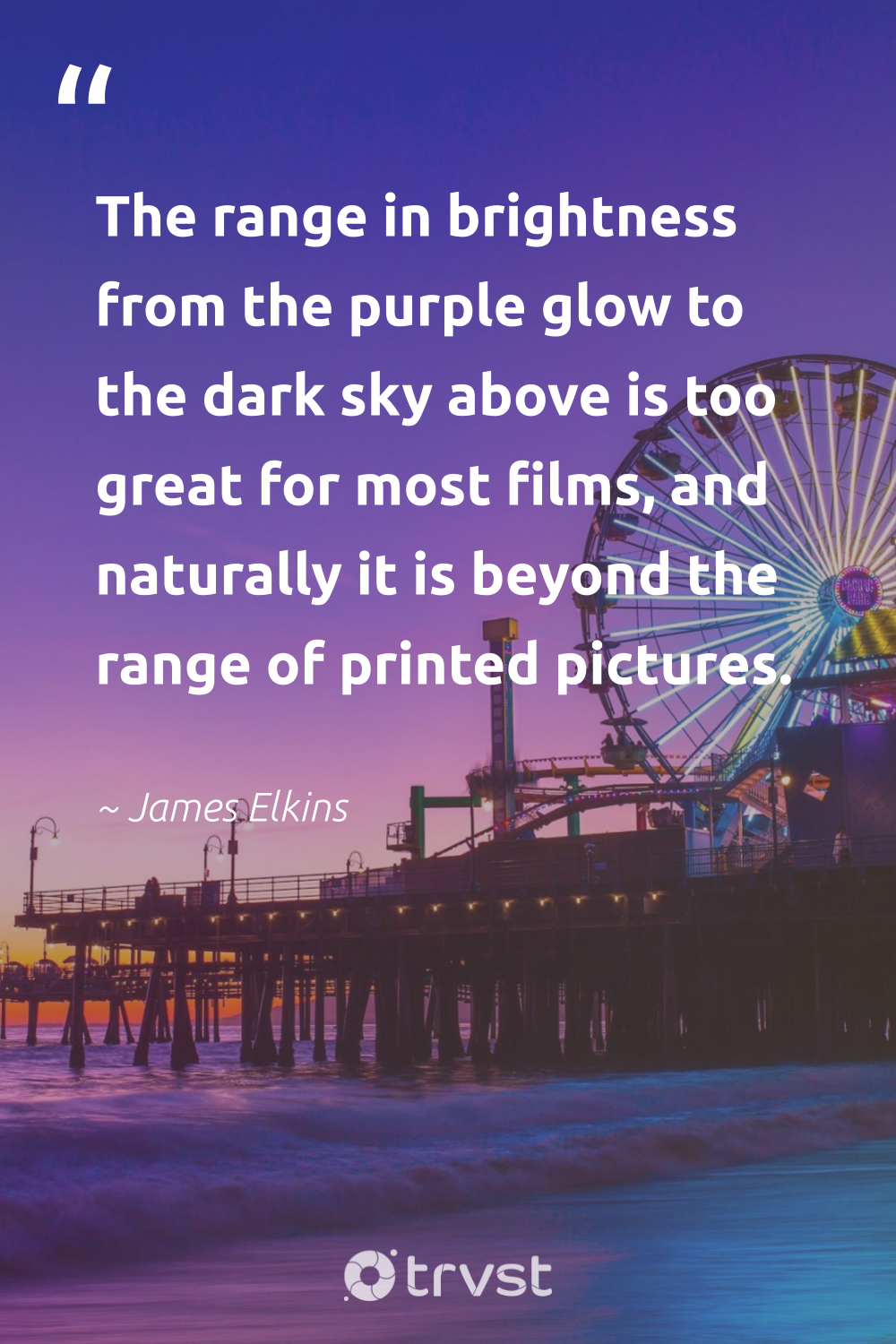 57 Purple Quotes for Life, Fashion, and Motivation (2024)