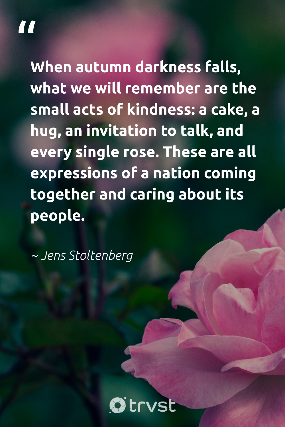 78 Rose Quotes About Natural Beauty, Love and Thorns