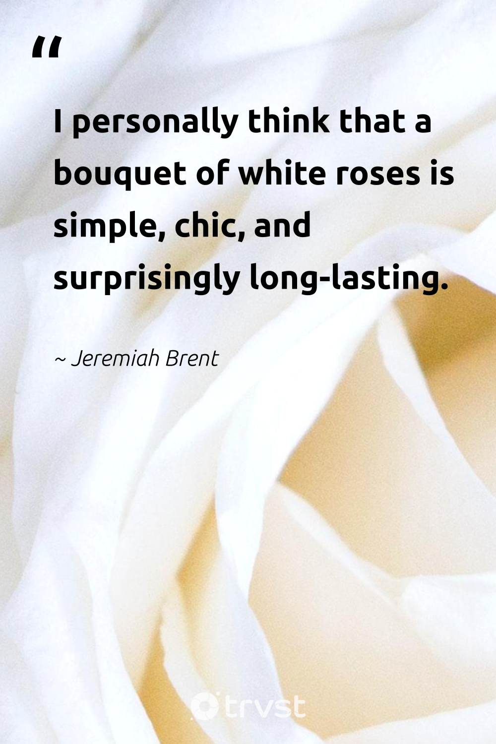 59 White Quotes Inspiring Bright Pure Days and Reflection (2025)