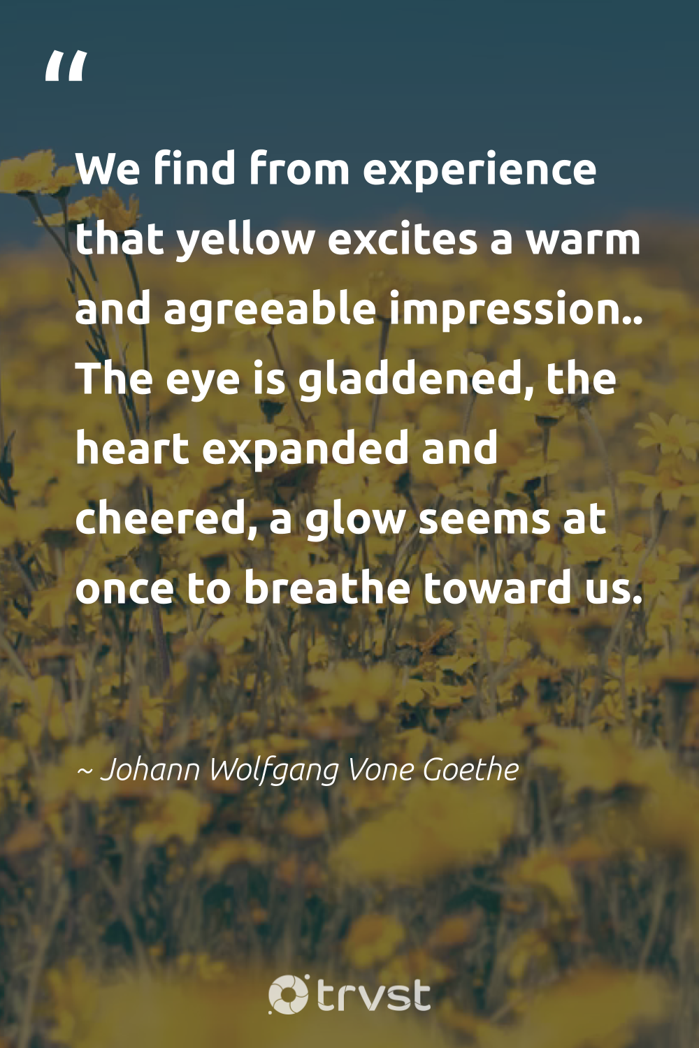 50 Yellow Quotes For Brighter Days and Sunny Inspiration (2025)