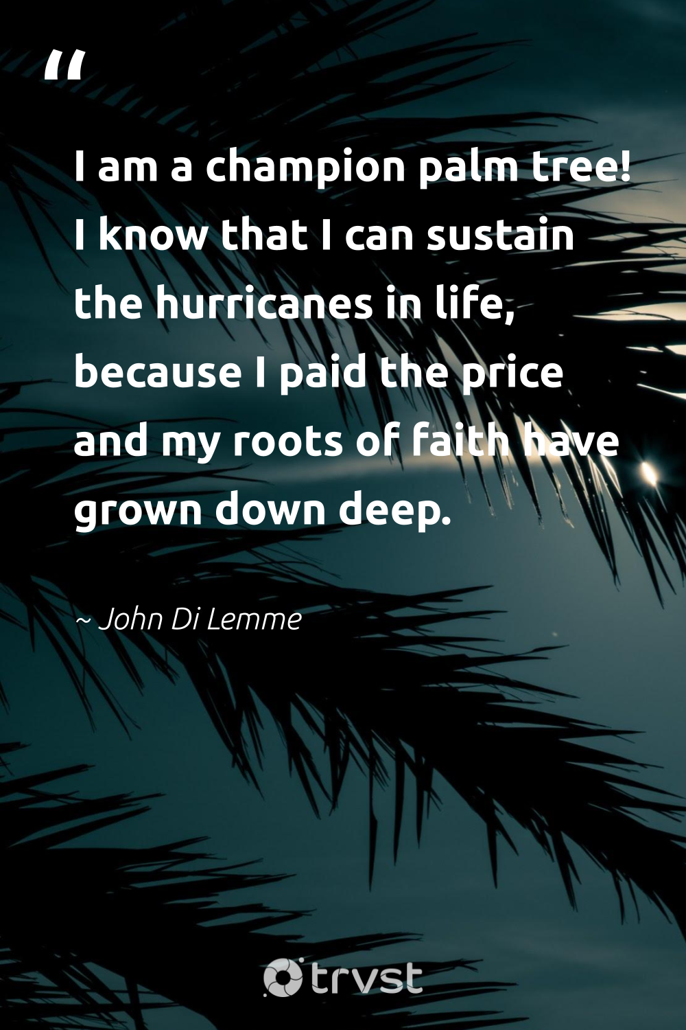 46 Palm Tree Quotes to Inspire Chilled Moments and Beach Time