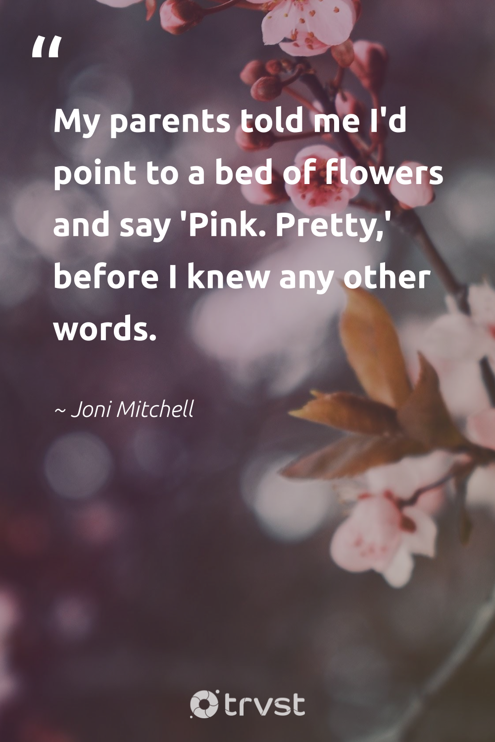 64 Pink Quotes for Appreciation and Empowerment (2025)