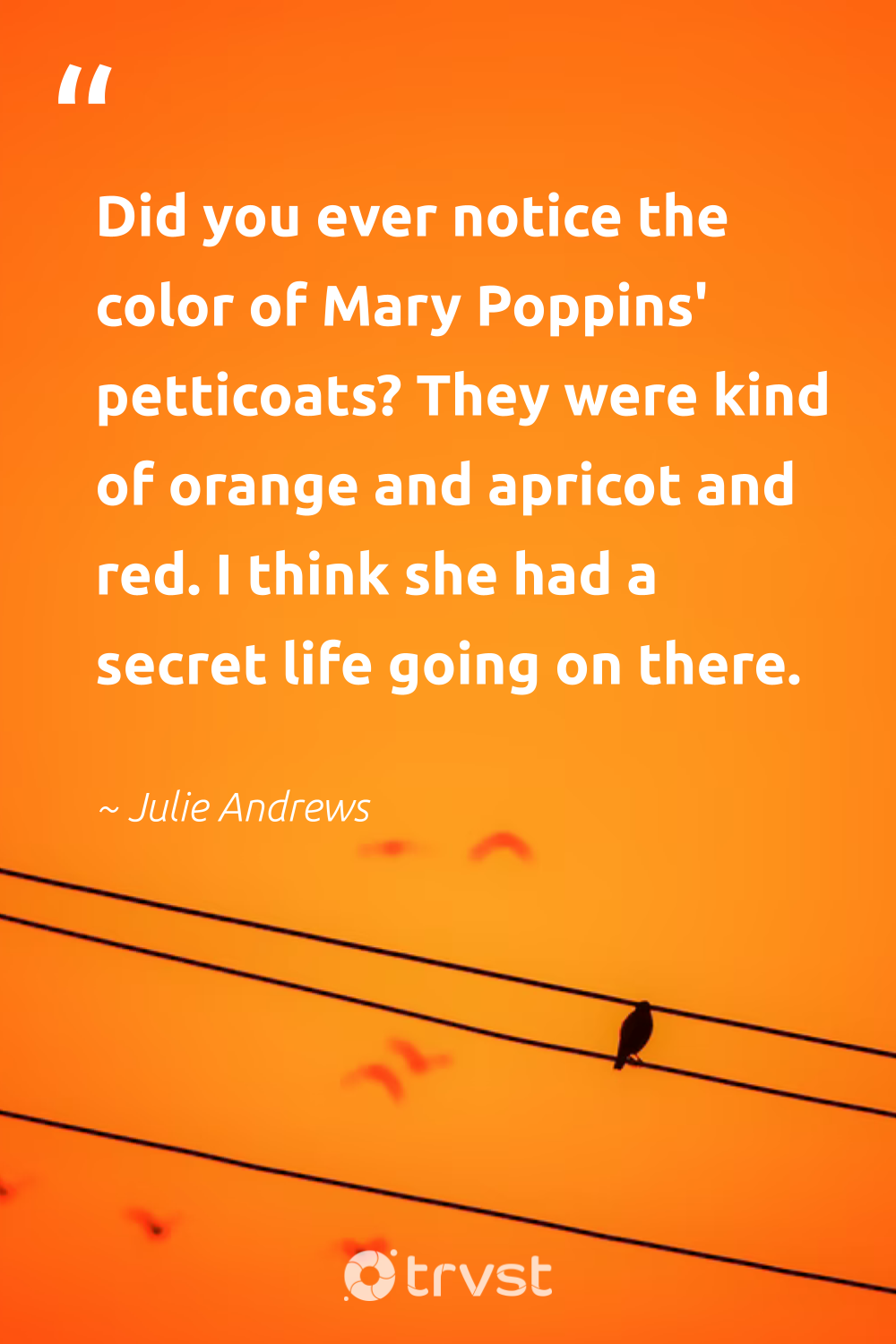 57 Orange Quotes to Inspire a Positive Outlook (2025)