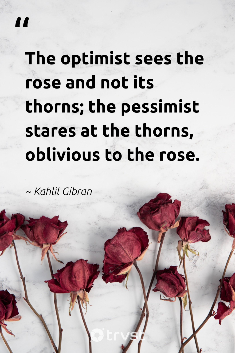 78 Rose Quotes About Natural Beauty, Love and Thorns