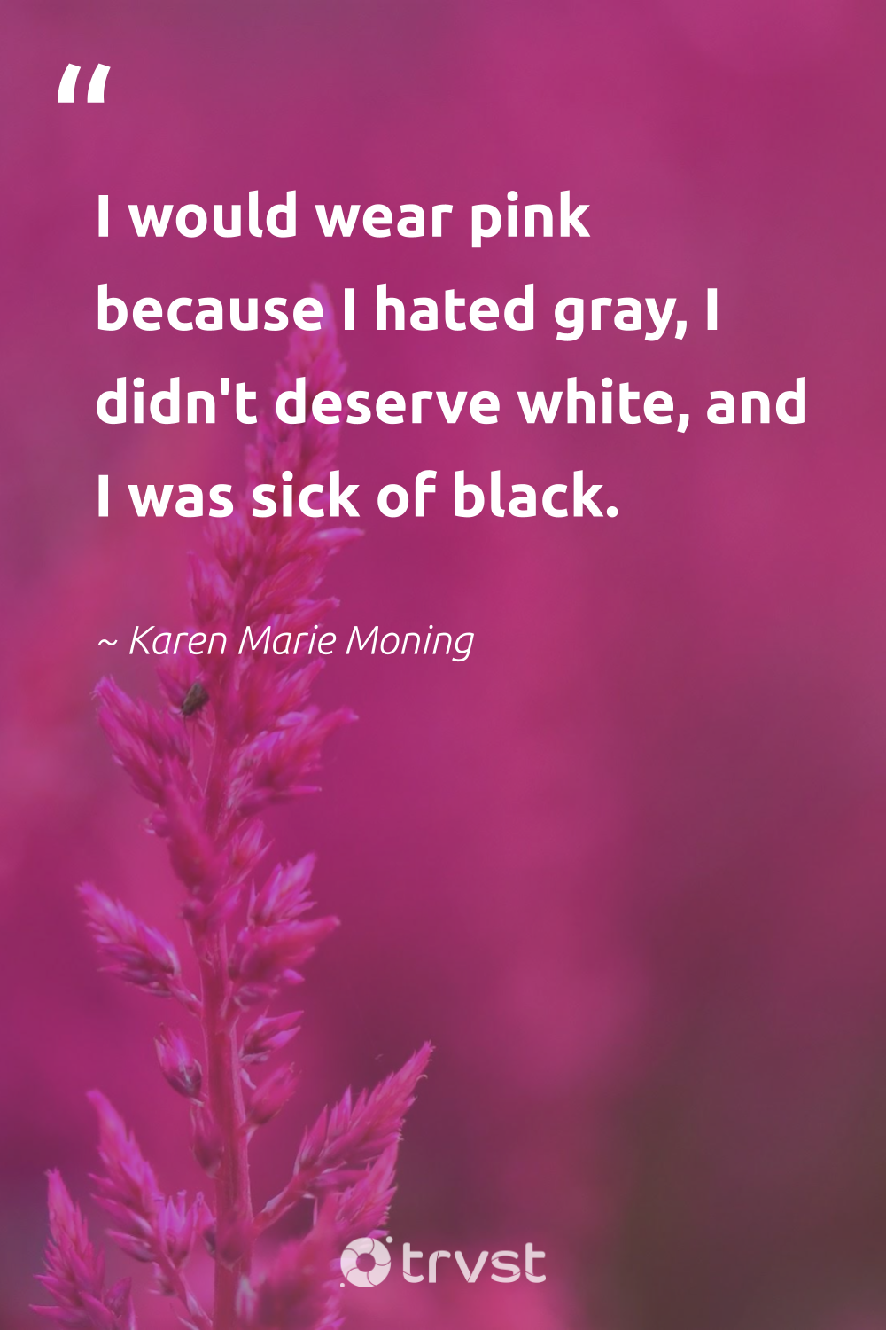 64 Pink Quotes for Appreciation and Empowerment (2024)