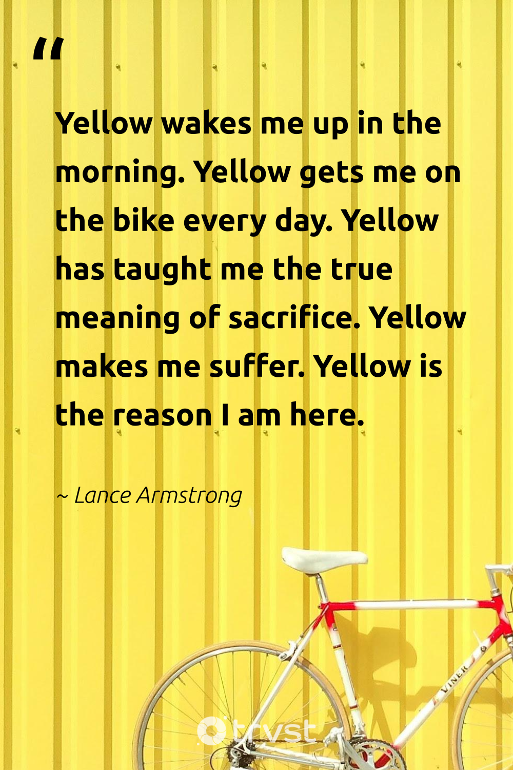 50 Yellow Quotes For Brighter Days and Sunny Inspiration (2025)